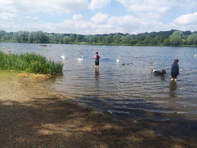 Dog walks and enclosures - Norwich & Norfolk - Scentastic Dogs